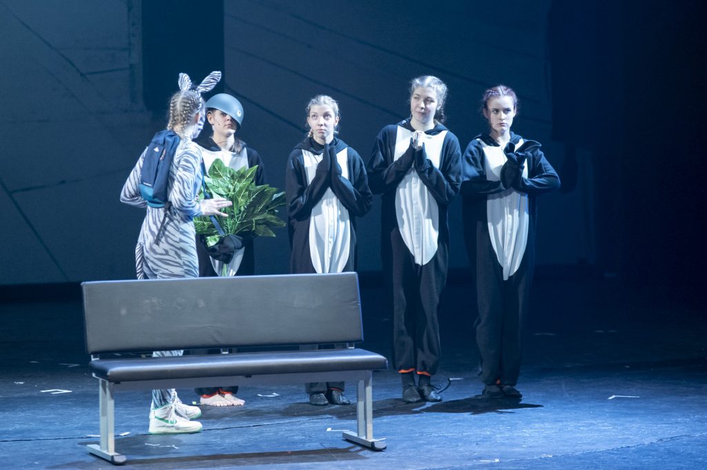 Madagascar JR. - Divadlo Hybernia